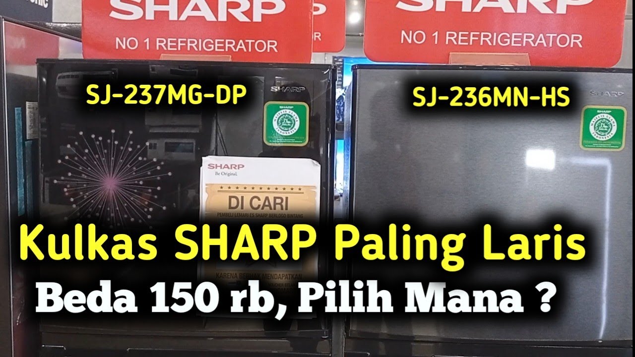 Perbedaan SJ-237MG-DP & SJ-236MN-HS | Kulkas SHARP 2 Pintu Paling Laris - YouTube