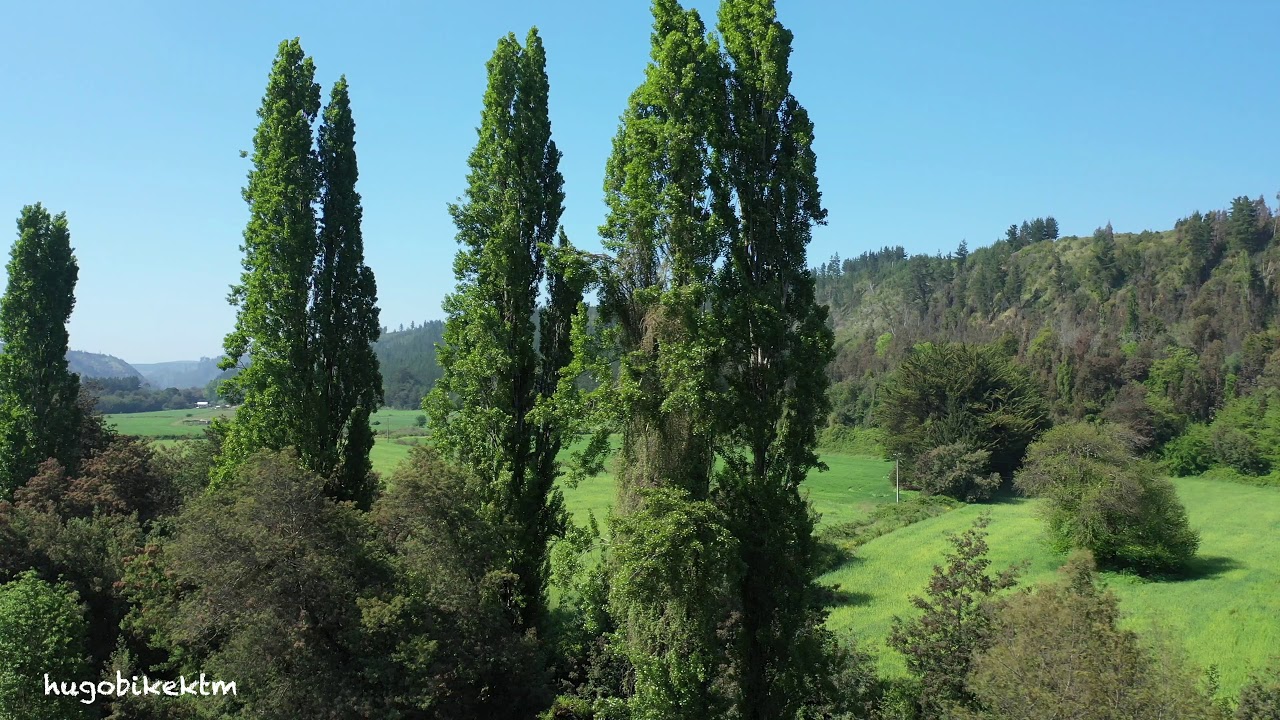 RIO MALLECO - YouTube