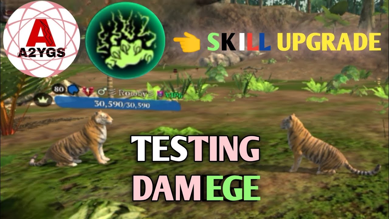 THE TIGER - SKILL UPGRADE AND TEST DAMAGE 😊 || - YouTube