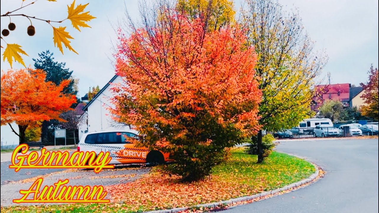 Beautiful Autumn in Germany 4K Walk - YouTube
