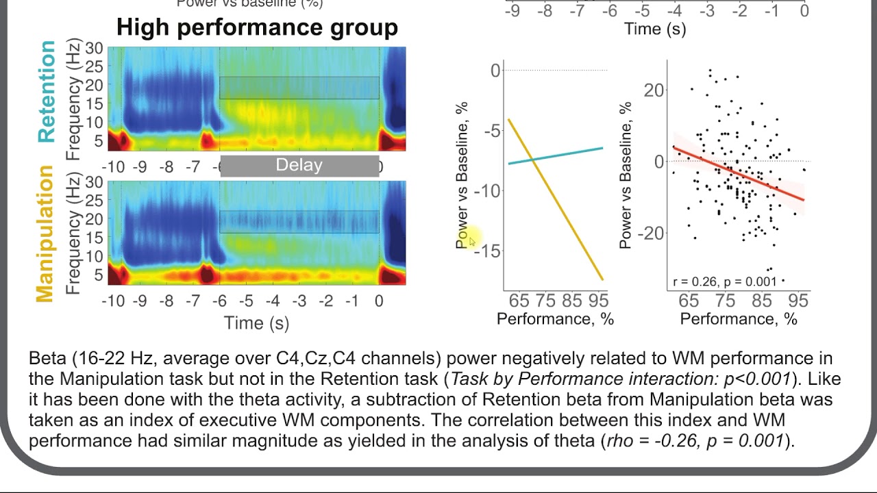 Oscillatory correlates of individual working memory capacity limits ...