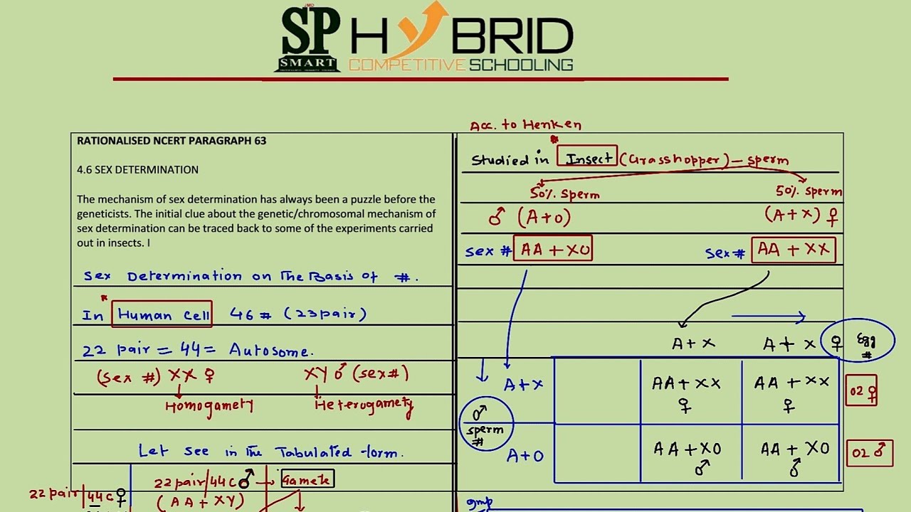 PRINCIPLES OF INHERITANCE AND VARIATION||CH04 || NCERT || P12 ||BILOGY ...