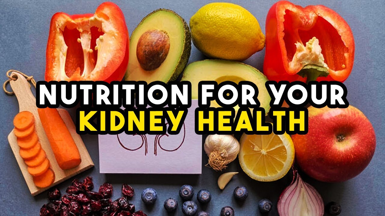 Discover The Key To Optimal Kidney Health || A Comprehensive Guide ...