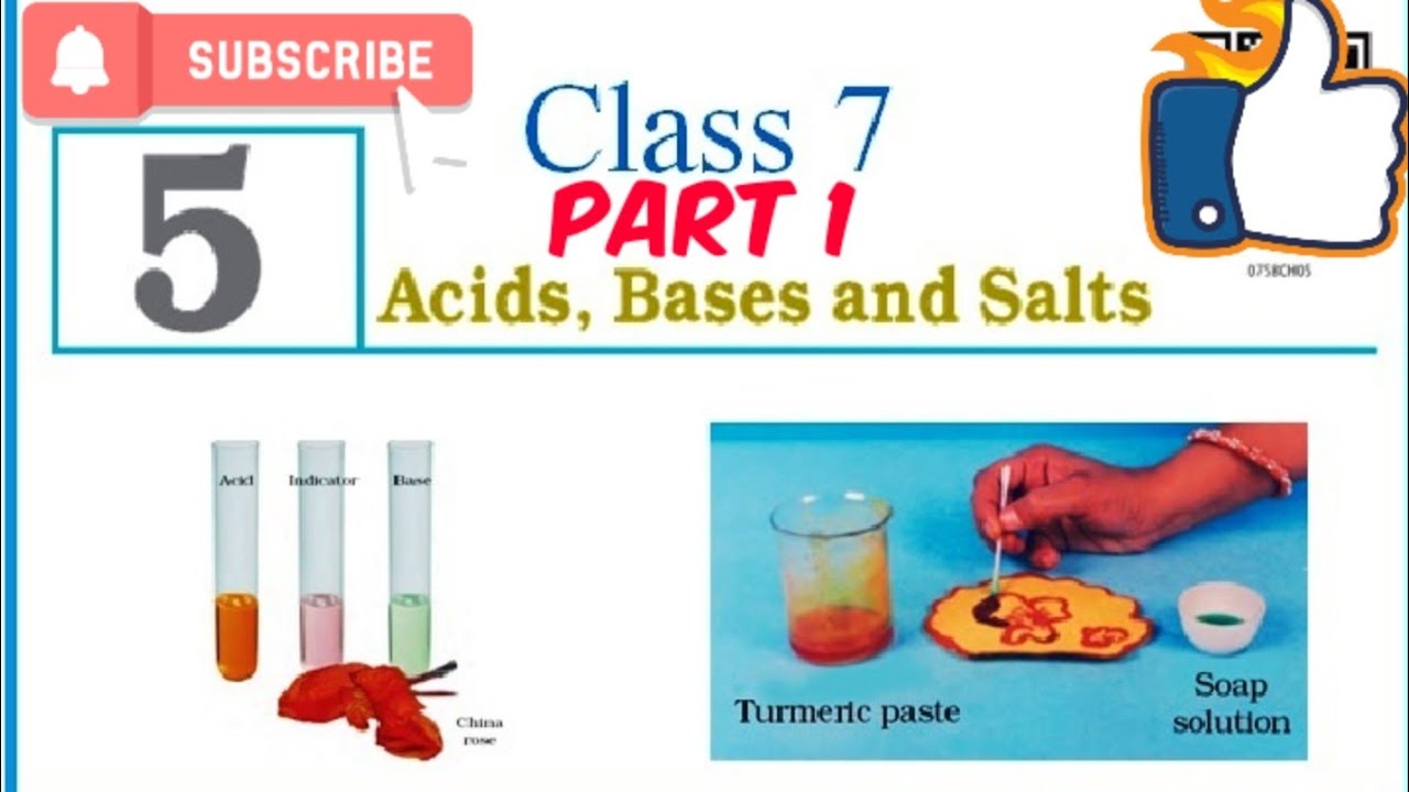 Class 7 science chapter 5 Acid bases and salt | Explanation - YouTube
