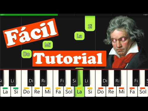 PARA ELISA en Piano 🎹 FACIL | Tutorial con Notas | Cómo Tocar Fur Elise en Teclado ( Beethoven )