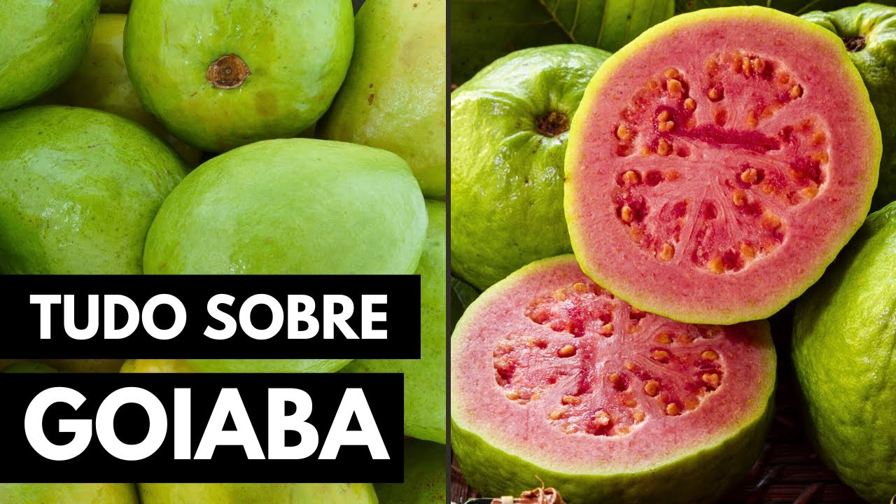 GOIABA: A FRUTA QUE SERVE DE REMÉDIO! - YouTube