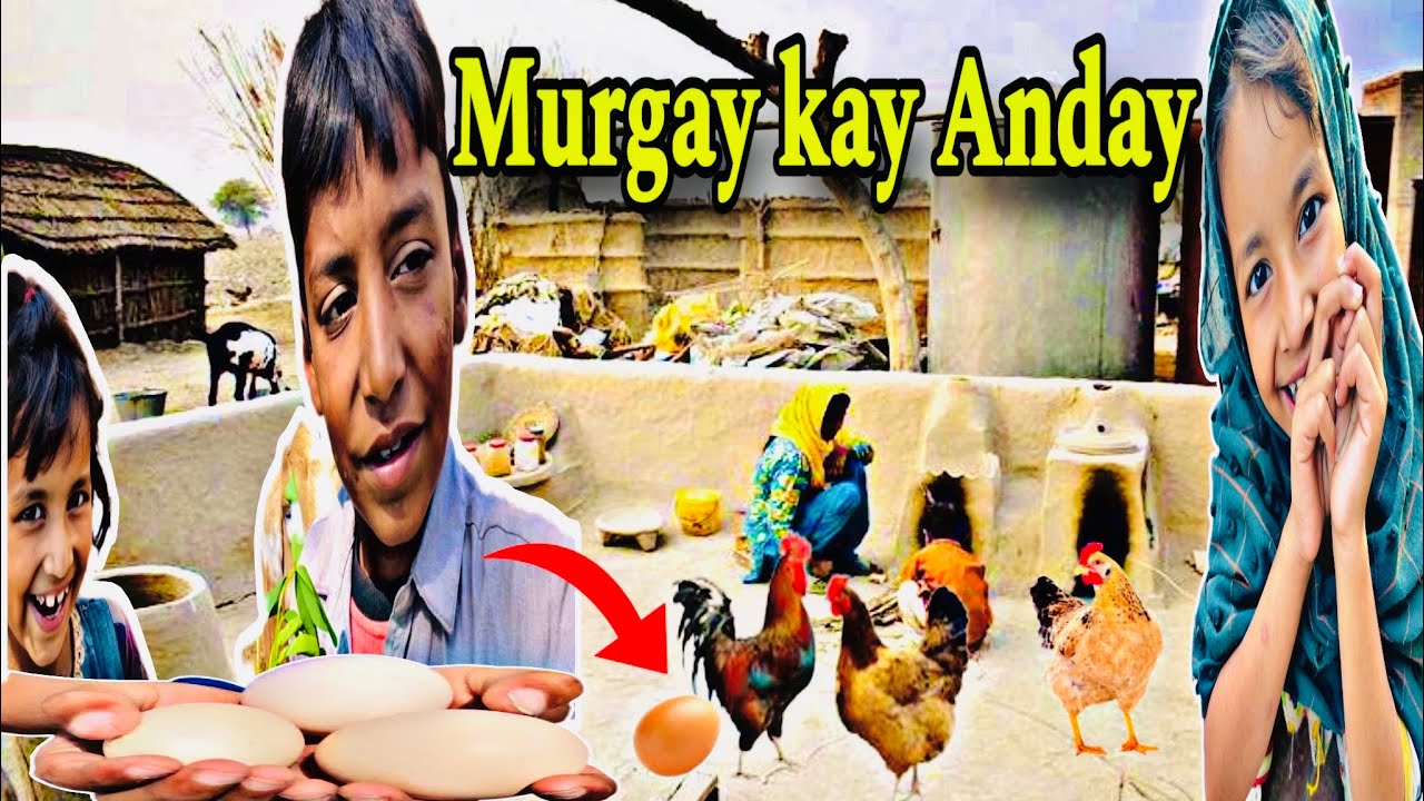 Murgay kay Anday || Village Vlogs || Umair Yasir Wattoo || - YouTube