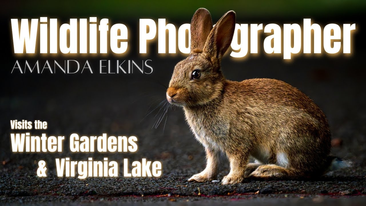 Wildlife Photographer, Amanda Elkins visits the Winter Gardens and ...