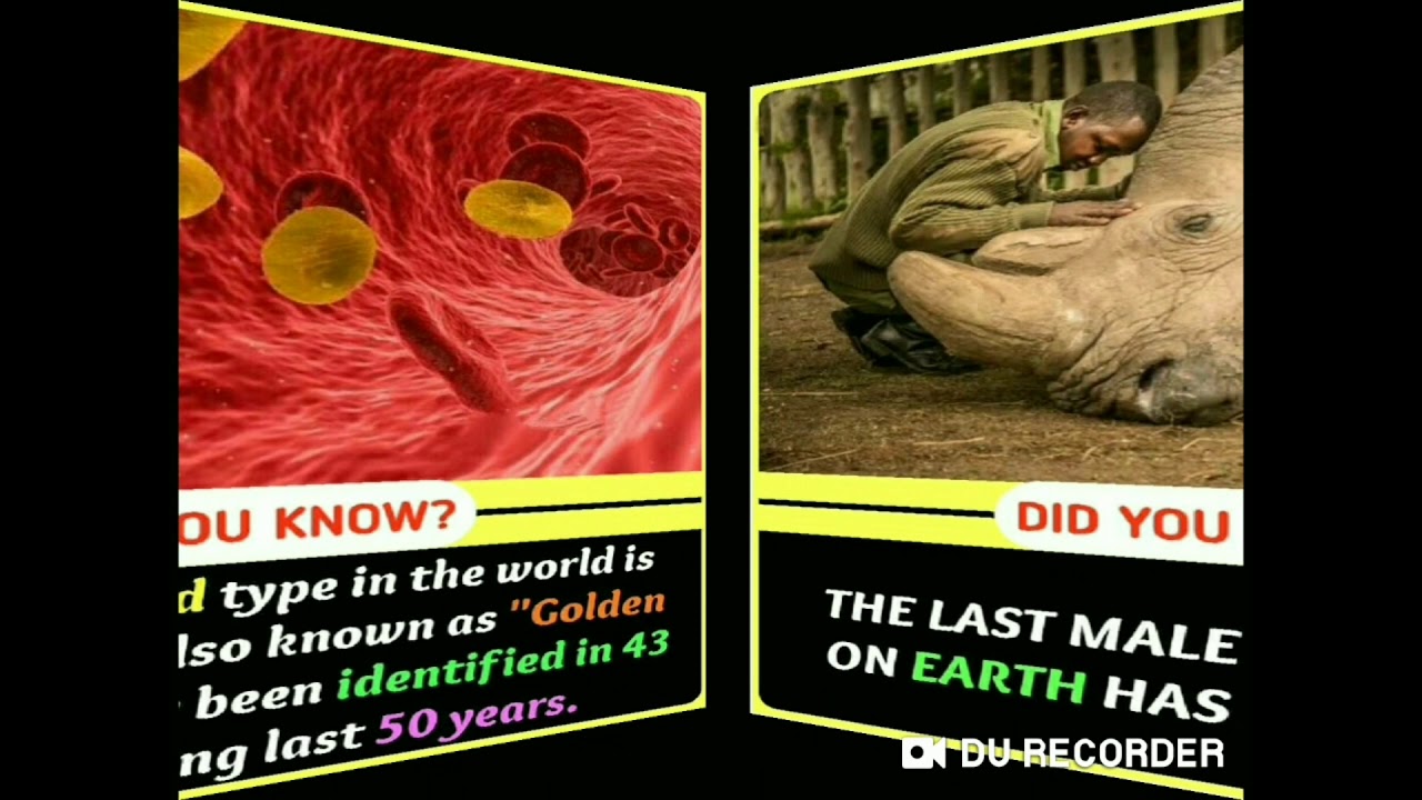 Awesome general knowledge | 10 amazing facts about world | world ...