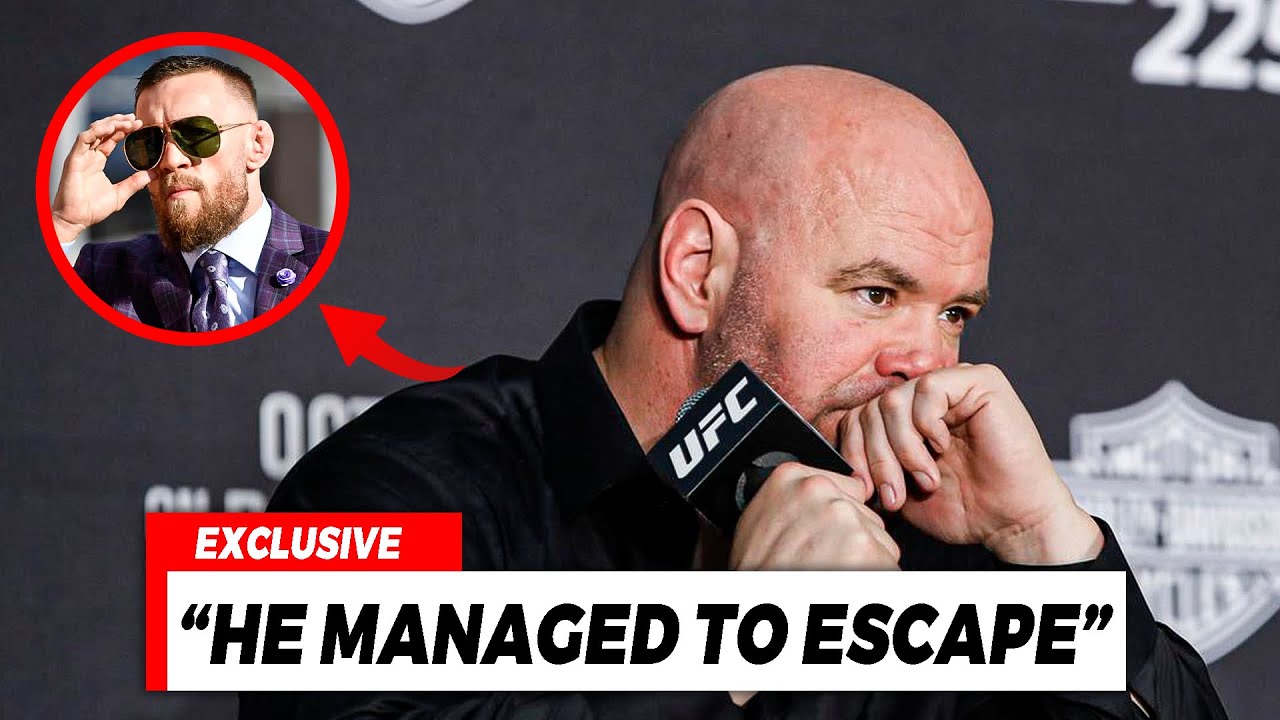 The UFC Fighters Who Became Successful BUSINESS Owners - YouTube