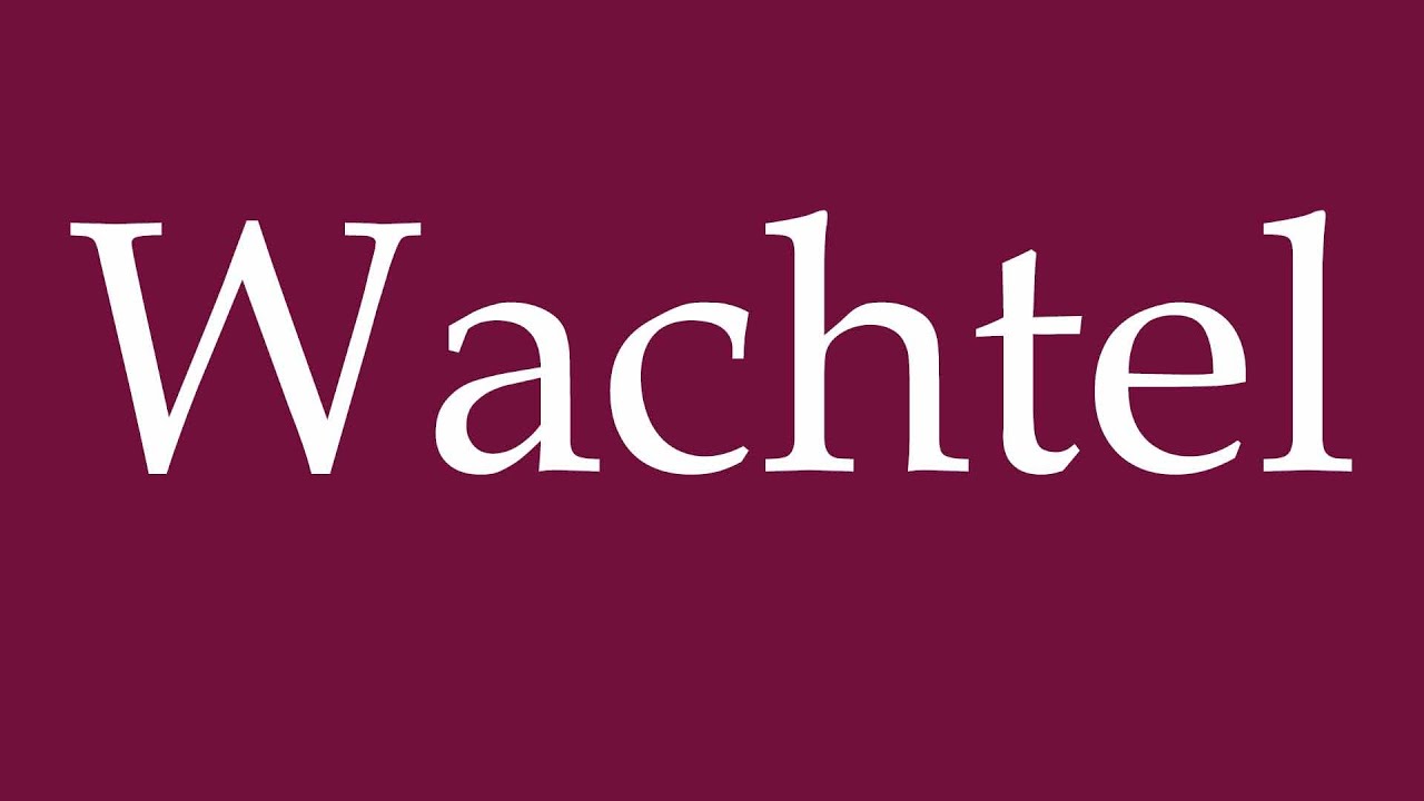 How to Pronounce ''Wachtel'' (Quail) Correctly in German - YouTube