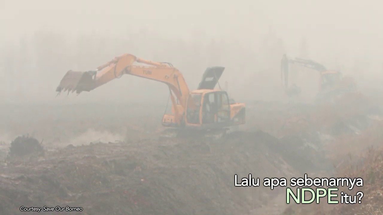 Apa itu No Deforestation, No Peat and No Exploitation (NDPE) ? # ...