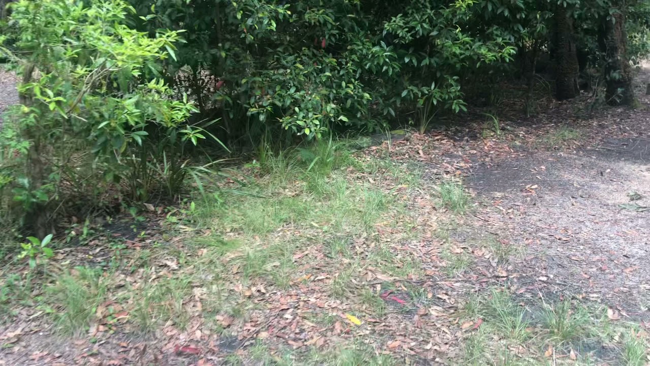 Wingan Inlet Victoria - YouTube