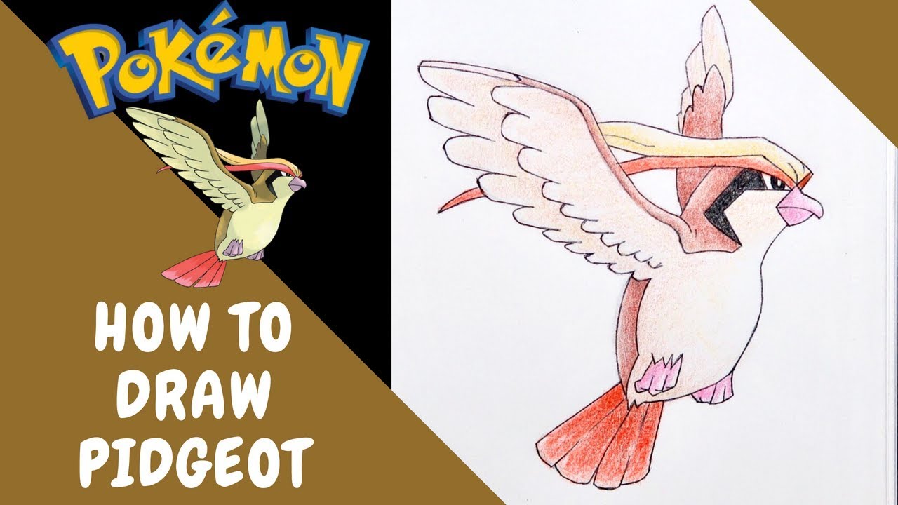 How to Draw Pidgeot No.18 | Pokemon - YouTube