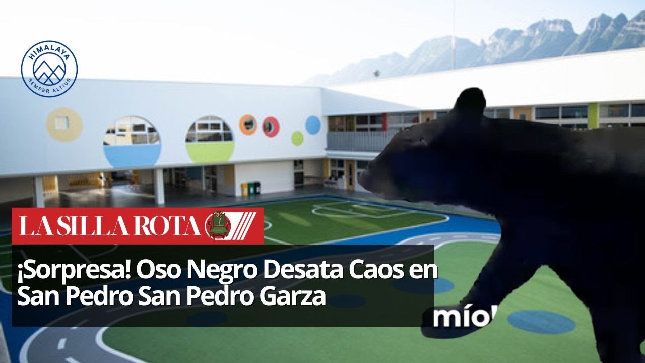 Oso Negro Entra al Colegio Himalaya en San Pedro - YouTube