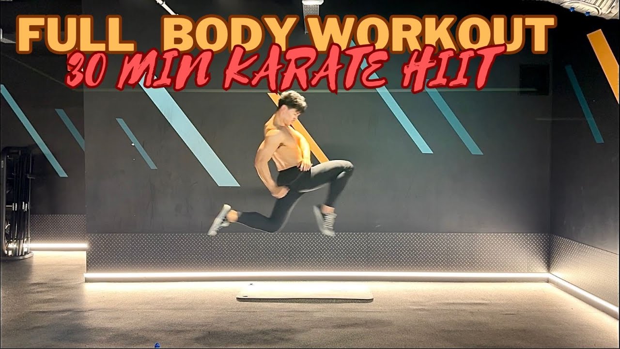 30 MIN HIIT WORKOUT for Beginners & Advanced | KARATE Strikes ...