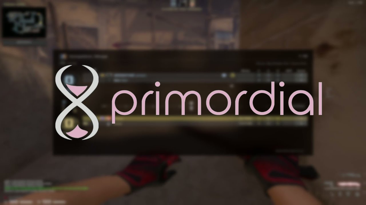 Making CS:GO HVH Look EASY With Primordial.dev - YouTube