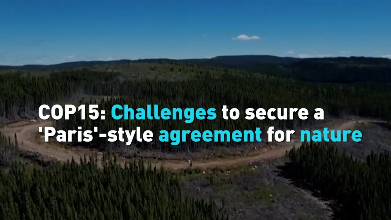 COP15: Challenges to secure a 'Paris'-style agreement for nature - YouTube