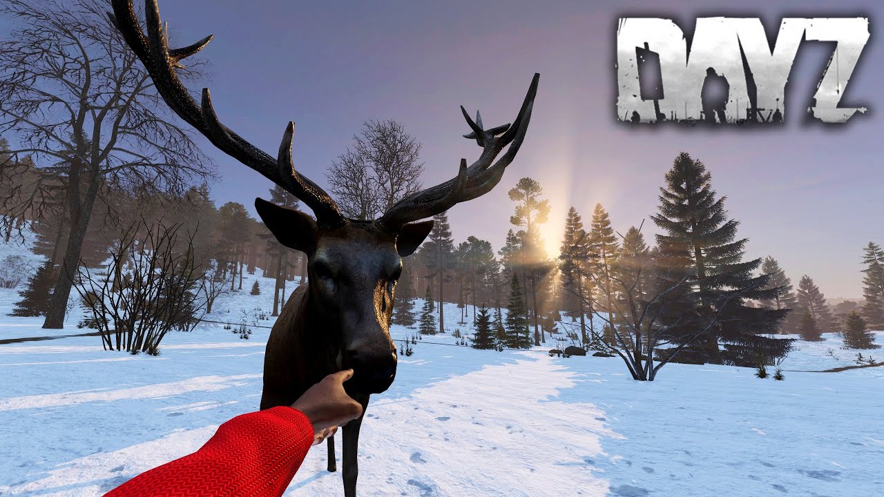 DayZ Survival - Winter Chernarus w/ @HappyBombs | 1440p LIVE - YouTube