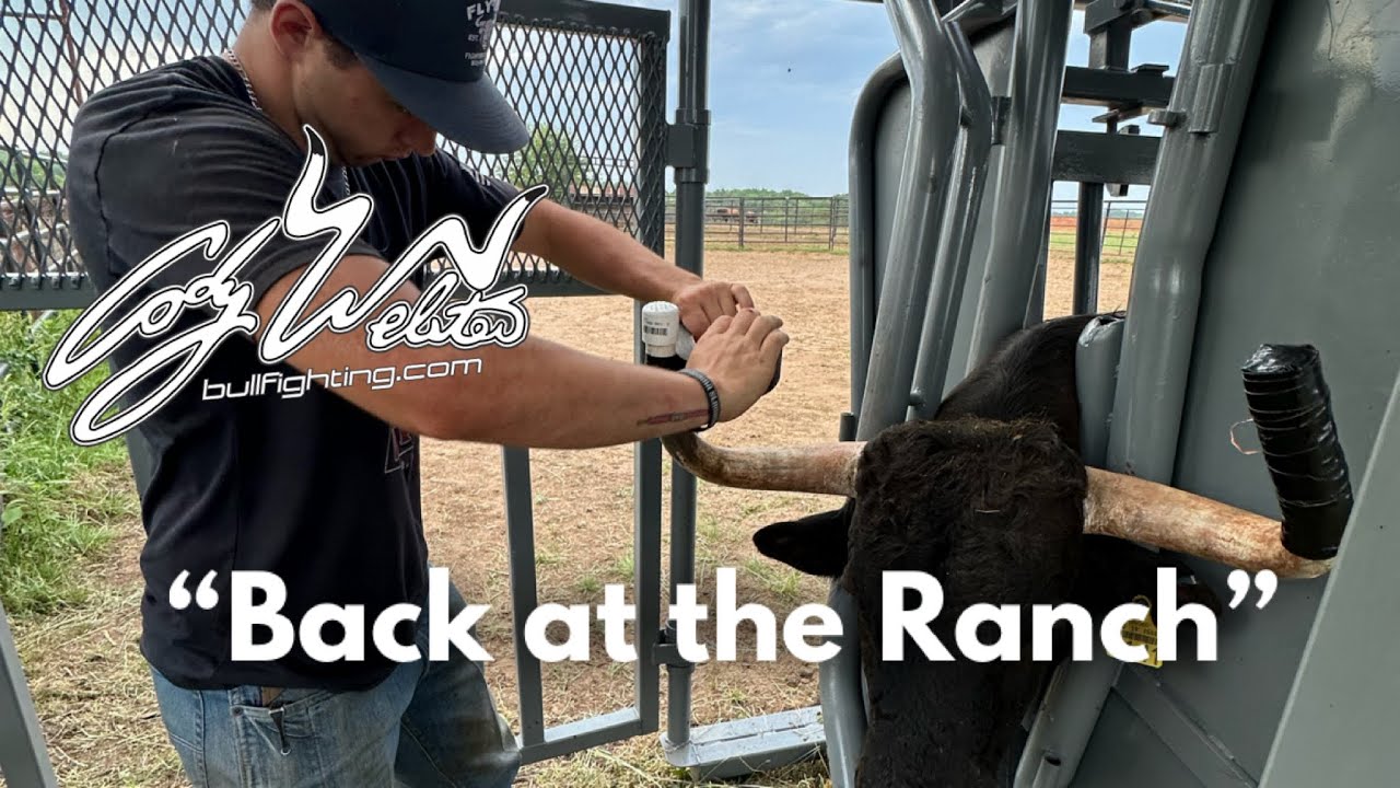Back at the Ranch - Behind The Chutes #122 - YouTube