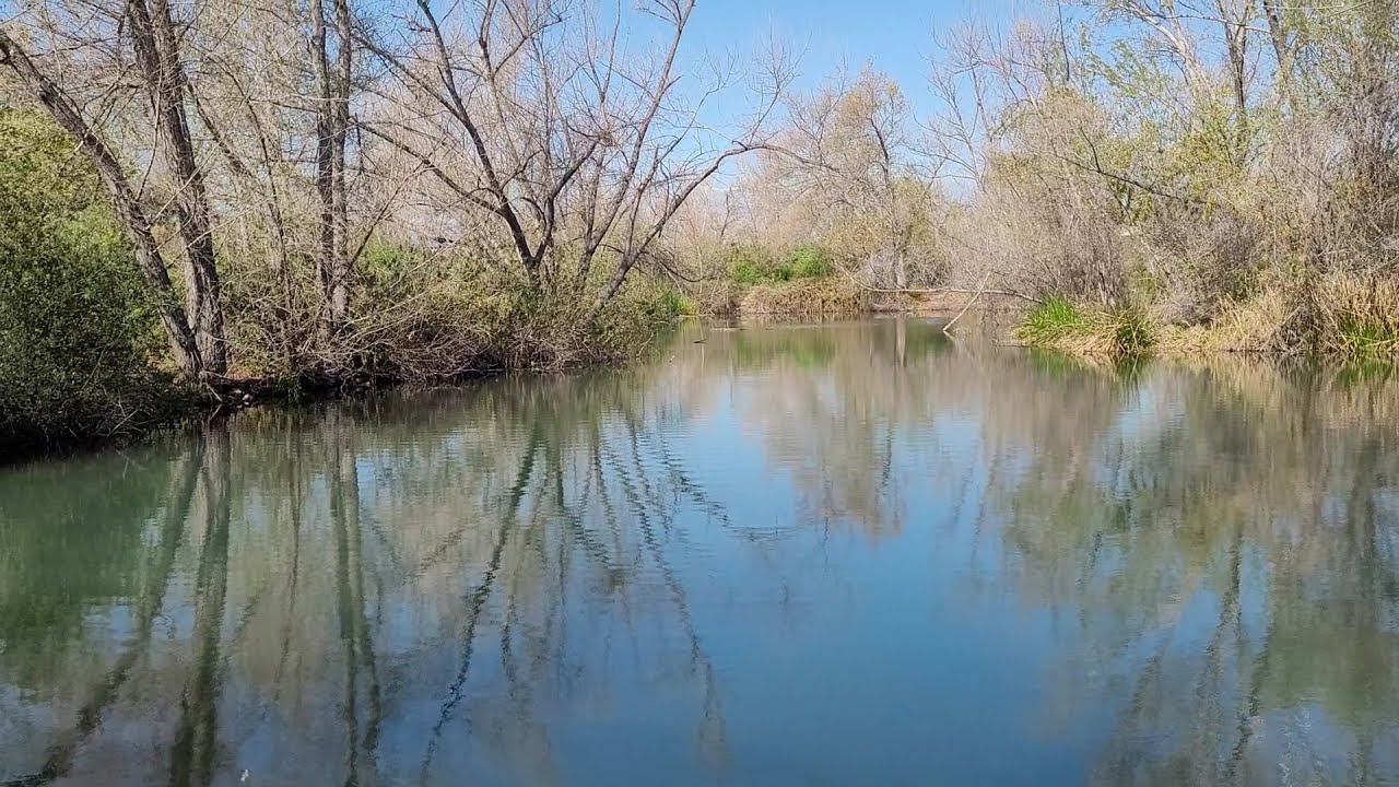 Relaxing nature walk at Chino Creek Wetlands in Chino Hills California ...