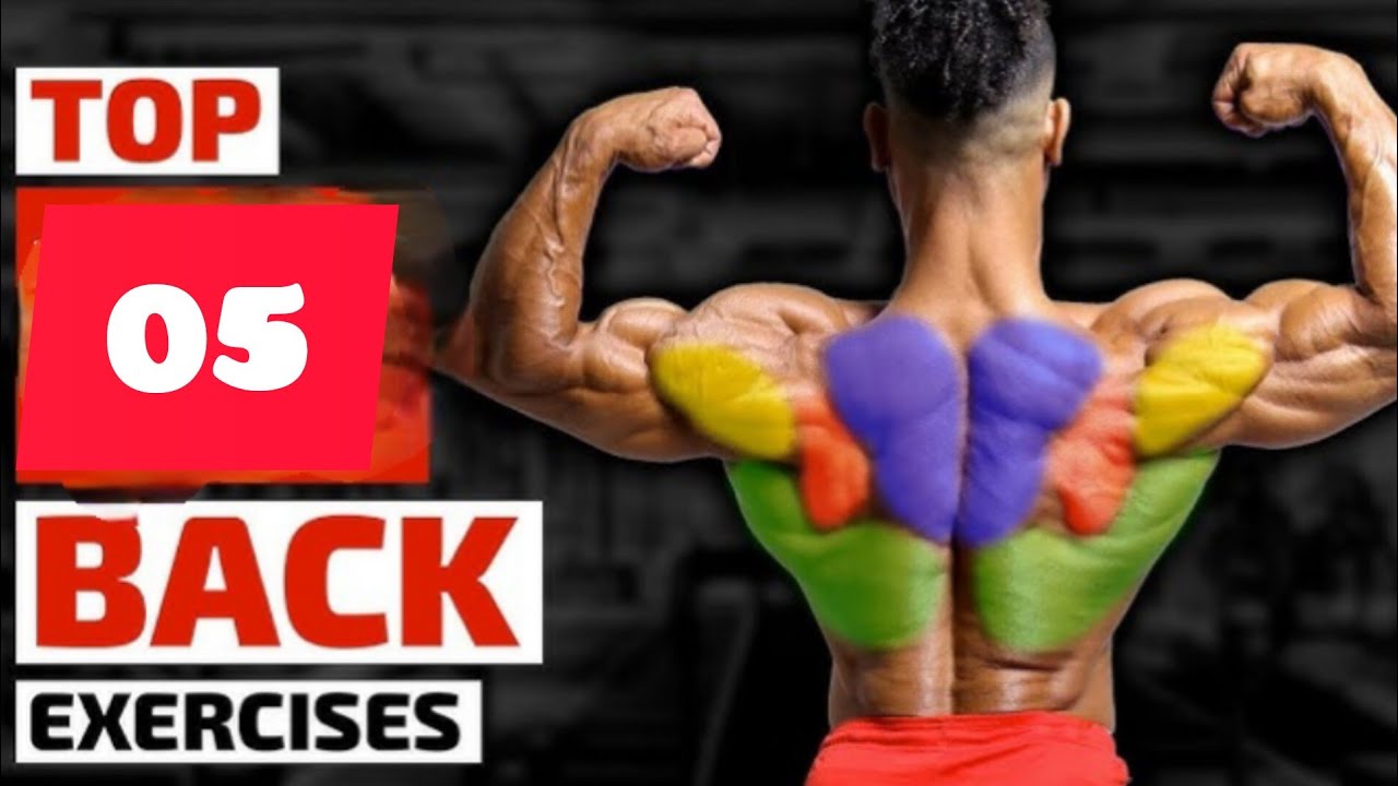 "Top 5 Most Effective Back Exercises for Strength and Muscle Growth ...
