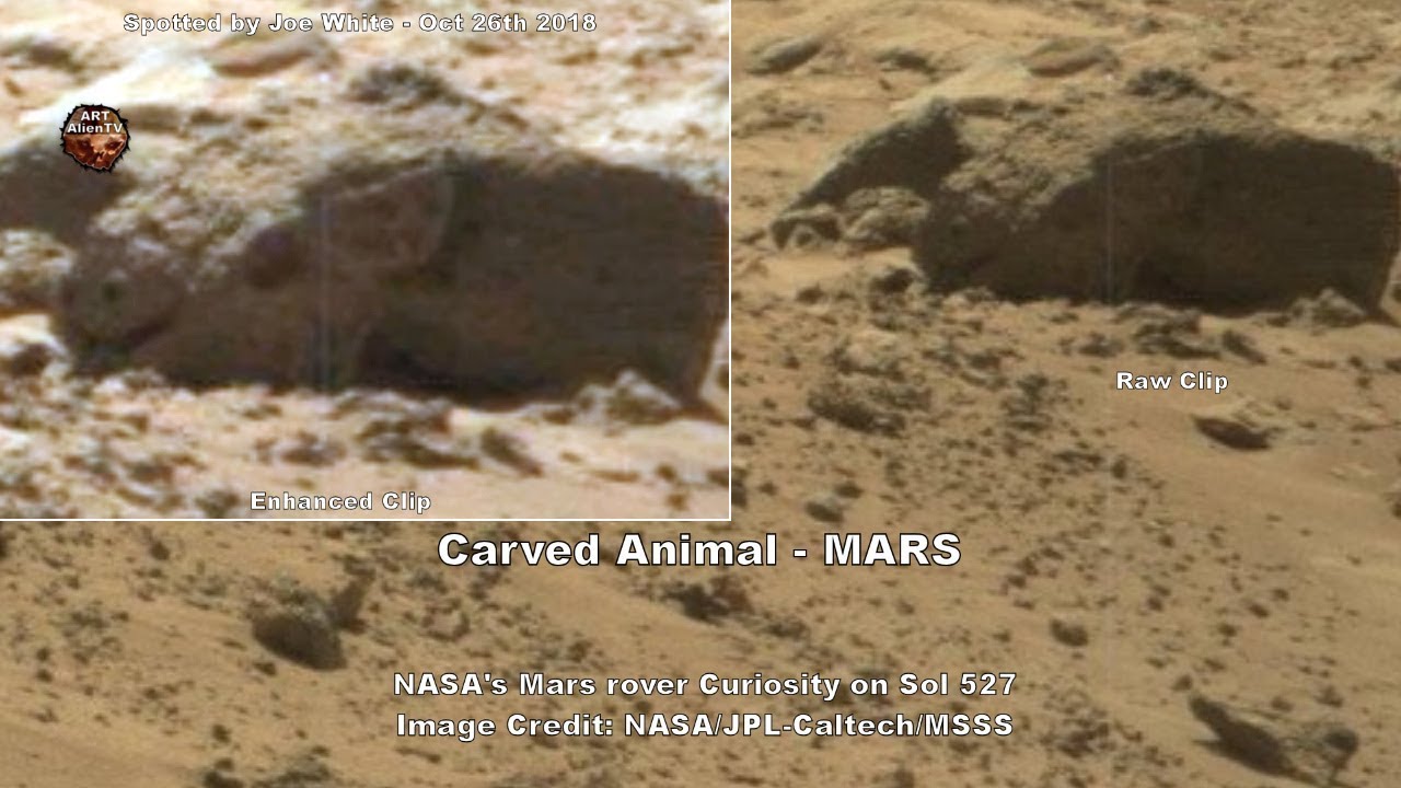 Building Structures with Mars Soil - Animal Sculpture on MARS ...