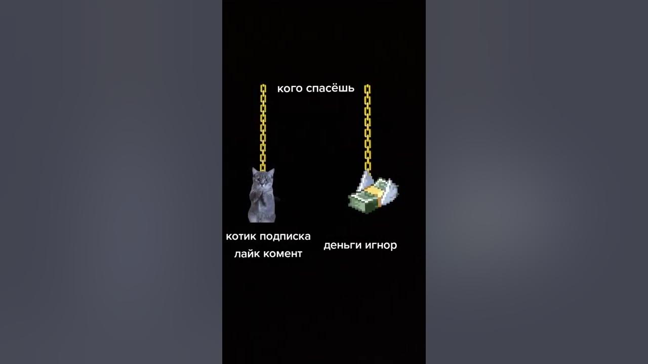 Подпишись что бы спасти котика🙏 - YouTube