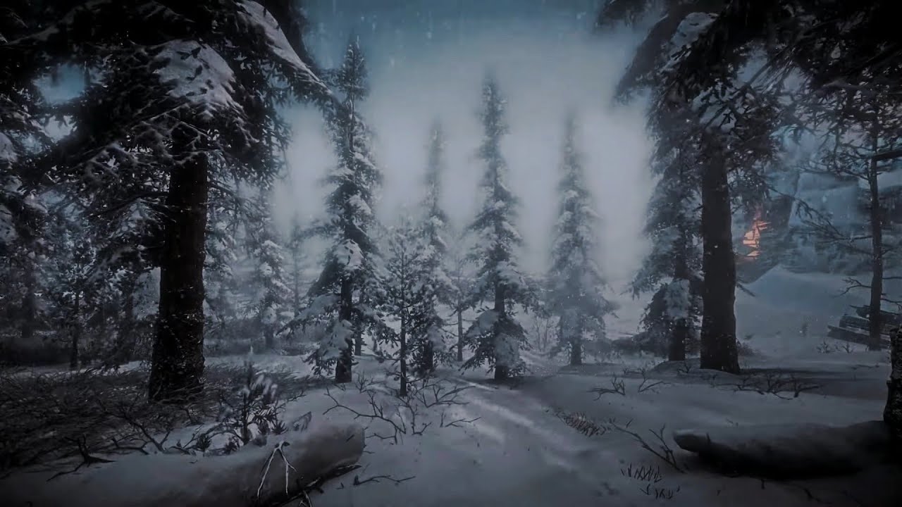 Unusual winter forest with snow and snowstorms | Snowstorm blowing wind ...