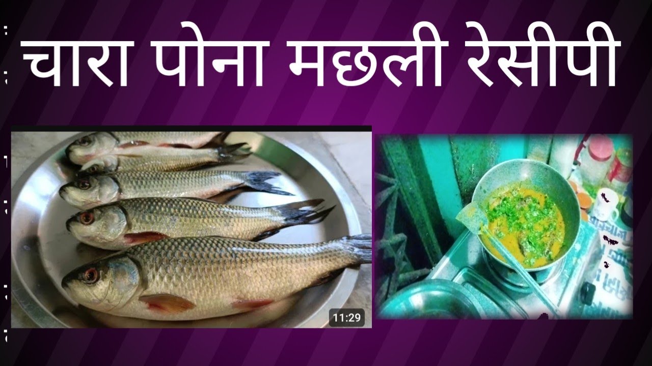 चारा पोना रेसीपी। Chara pona Fish Curry - YouTube