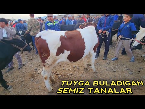 SAMARQAND PASTDARGOM JUMA MOL BOZORI - YouTube