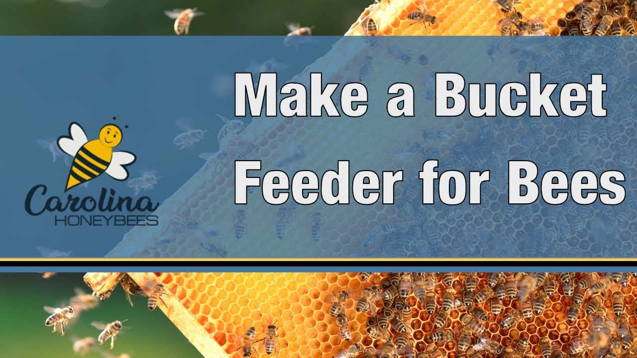 How to Make an Open Feeder for Feeding Bees - YouTube
