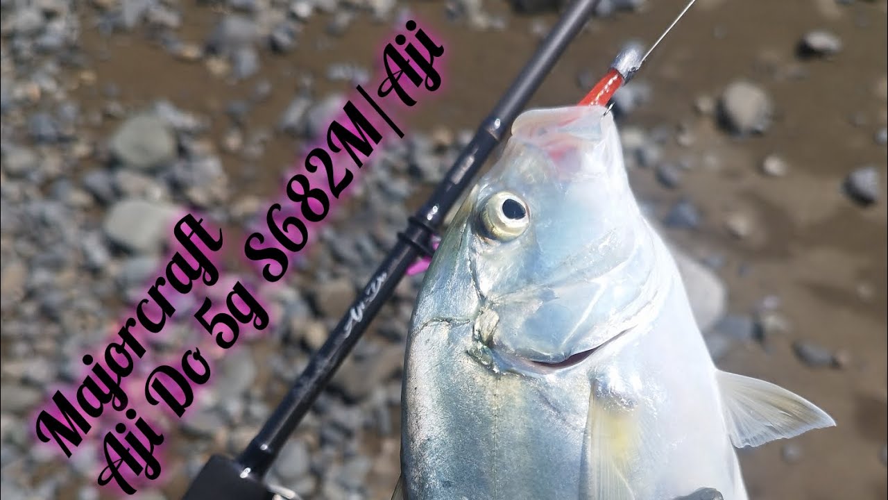 Ajing EP1: Ajing style fishing using Majorcraft Aji Do 5G S682M/Aji ...