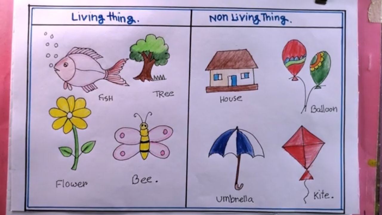 how to draw living things nonliving things step by step easy - YouTube