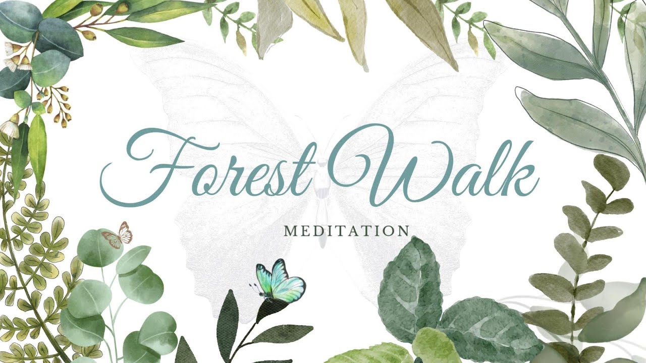 Forest Walk Meditation: Reconnect with Nature and Inner Calm - YouTube