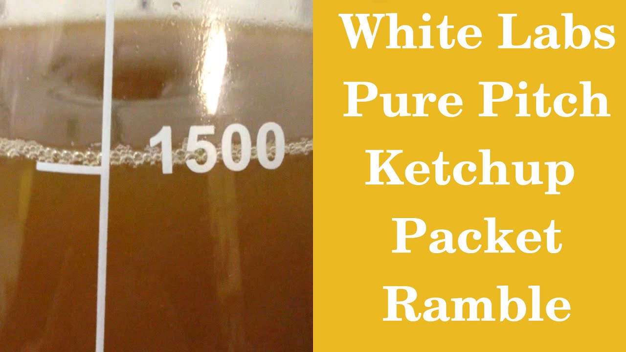 White Labs Pure Pitch Autopsy and Ramble - YouTube