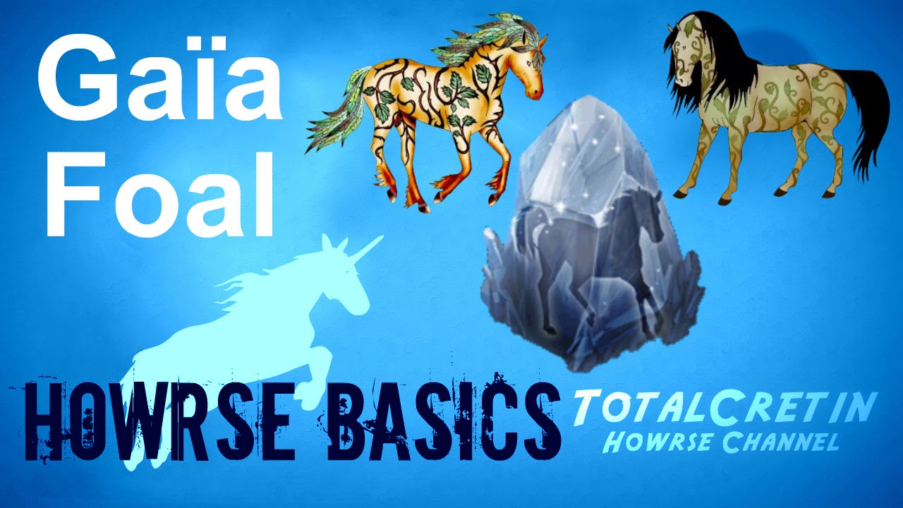 Gaïa Foal - Howrse Basics - YouTube