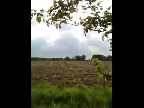 How Does Commercial Agriculture Cause Deforestation