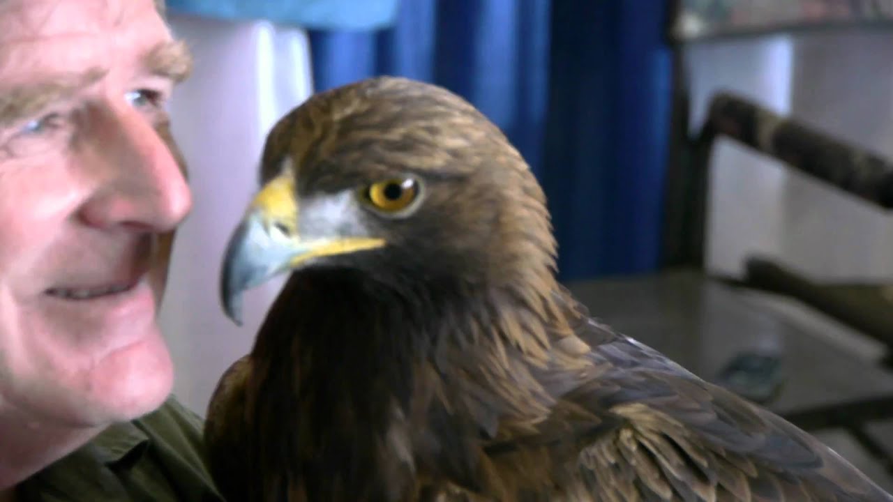 Martin Tyner at America's Family Pet Expo OC Fairgrounds Costa Mesa CA ...
