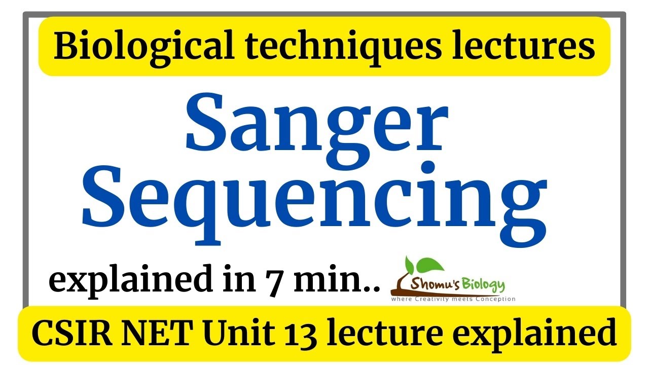 Sanger sequencing method in Hindi | Sanger sequencing animation in ...