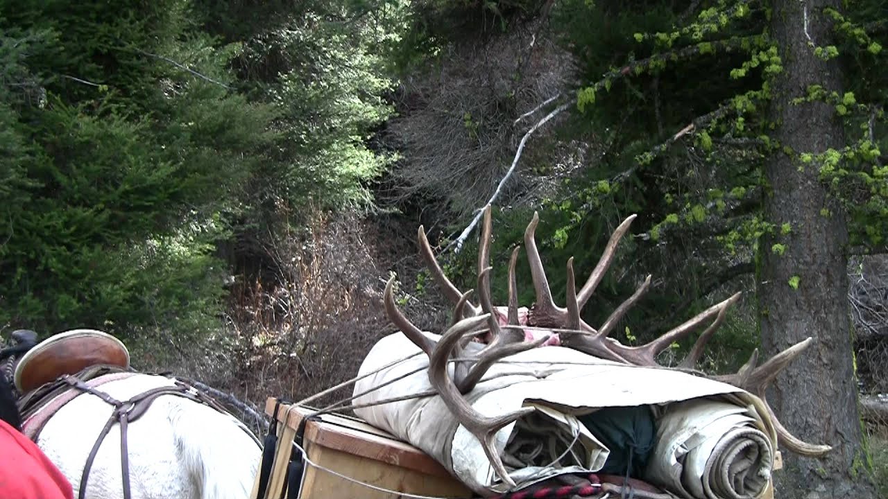 Packing out camp and elk - YouTube