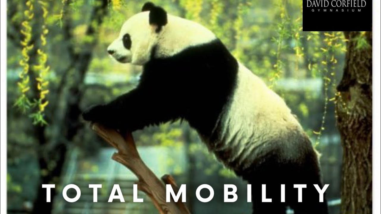 TOTAL MOBILITY DAY 4 - YouTube