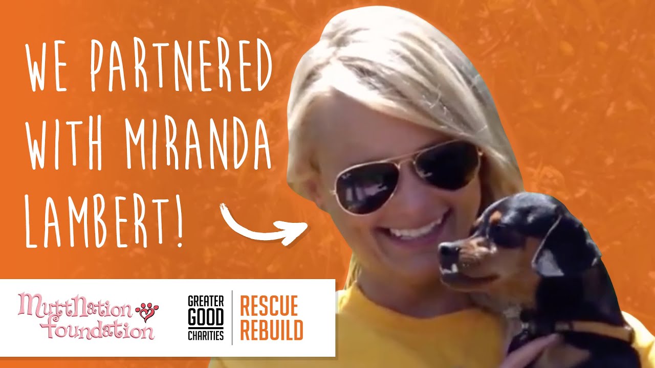 Rescue Rebuild | Teaming Up with Miranda Lambert's MuttNation ...