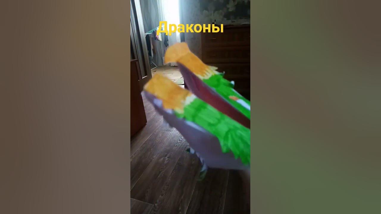 дракон попугай и просто дракон - YouTube