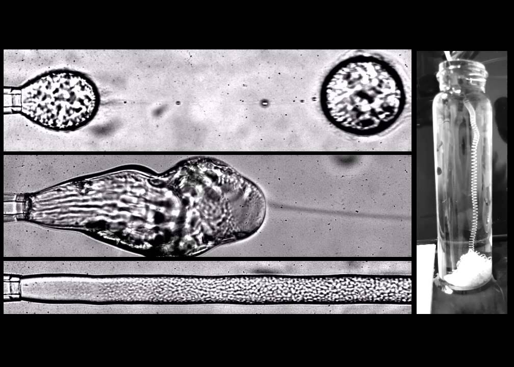 Liquid Fibers - YouTube
