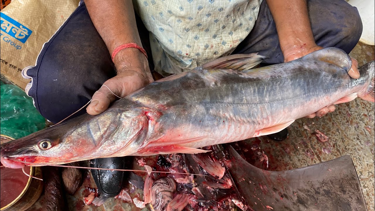 Gorgeous fish cutting by expert fish cutter - YouTube