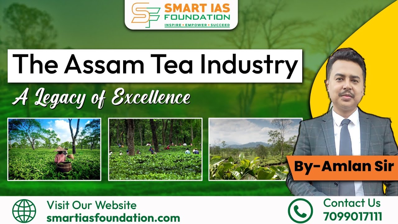 The Assam Tea Industry: A Legacy of Excellence - YouTube