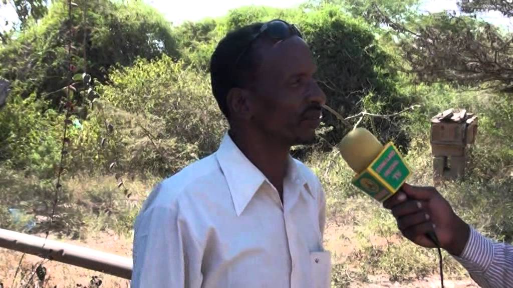 Barnaamijka Ganacsiga iyo Dhaqaalaha SLNTV malabka shinida - YouTube