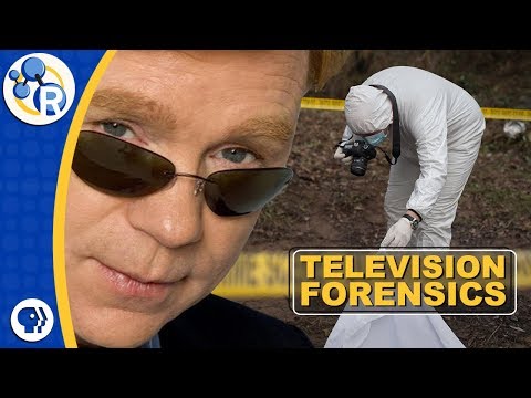 How Has Television Impacted The Field Of Forensic Science