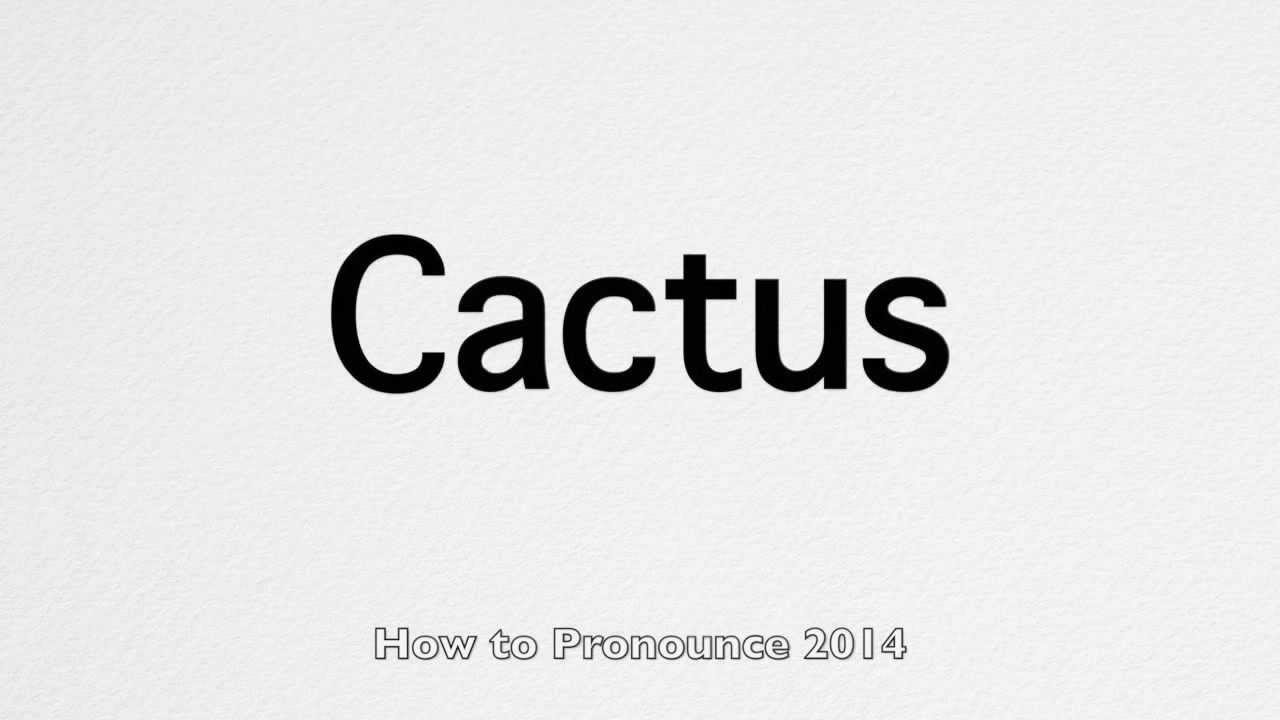 How to Pronounce Cactus - YouTube